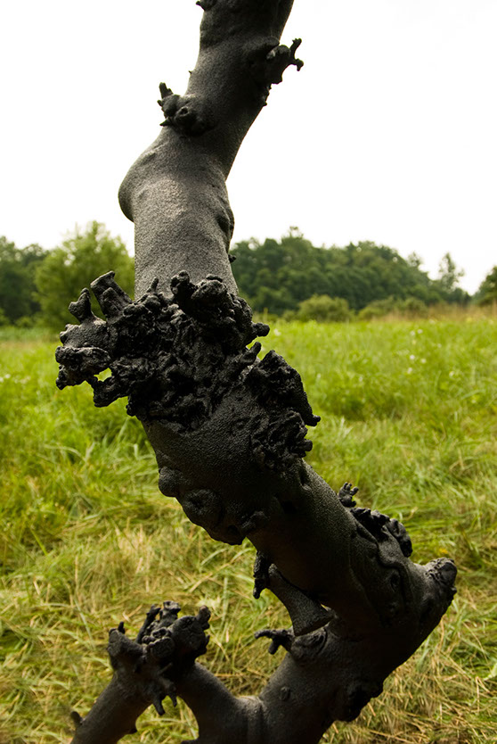SCULPTURE